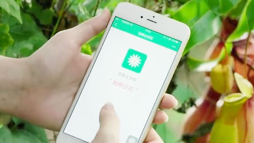 怎样找回微信已删除好友？很简单，我教你！