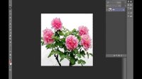 adobe Flash CS6视频课程
