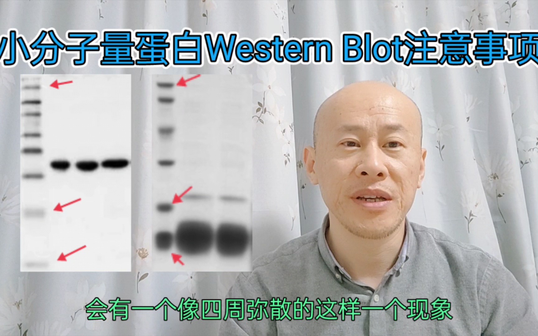 小分子量蛋白Western Blot注意事项和技巧。