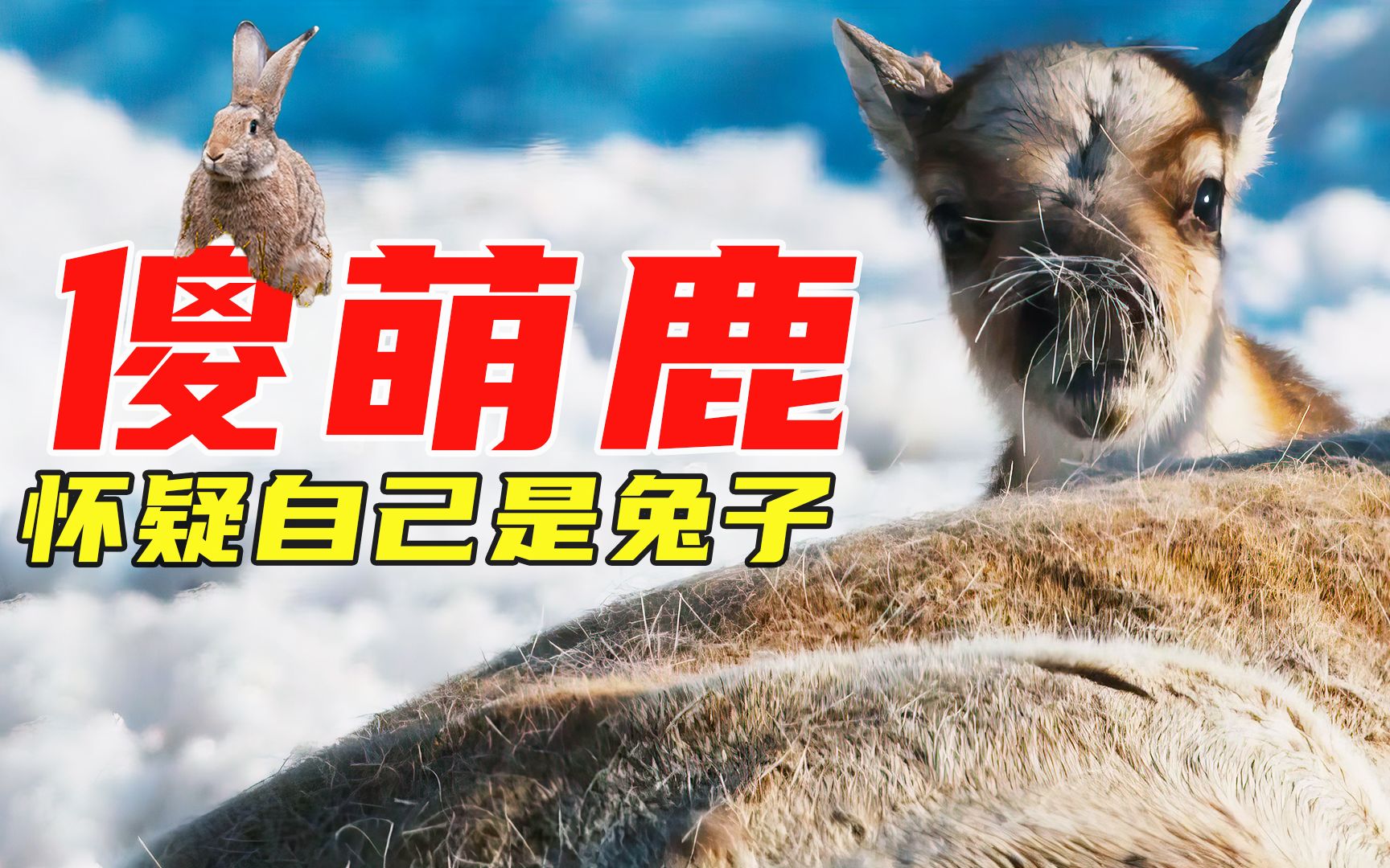 小驯鹿怀疑自己是个兔子,全程模仿兔子动作