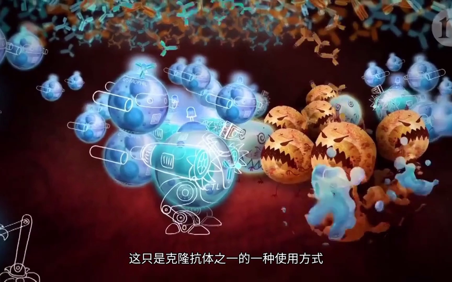 癌症免疫治疗 —— 单克隆抗体