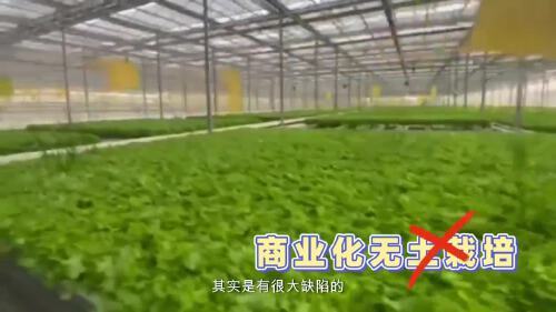 无机无土栽培,这些坑你踩过吗?