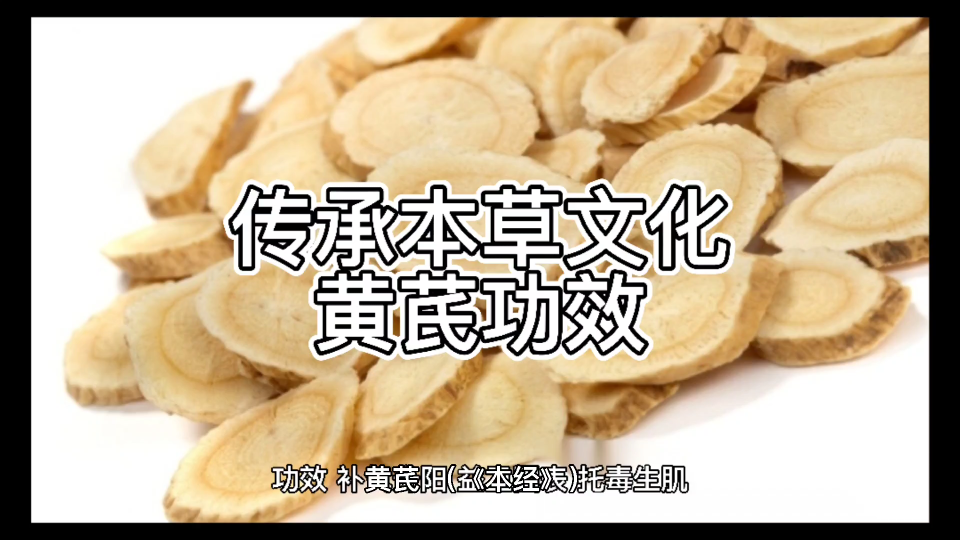 传承本草文化,一起学习黄芪功效