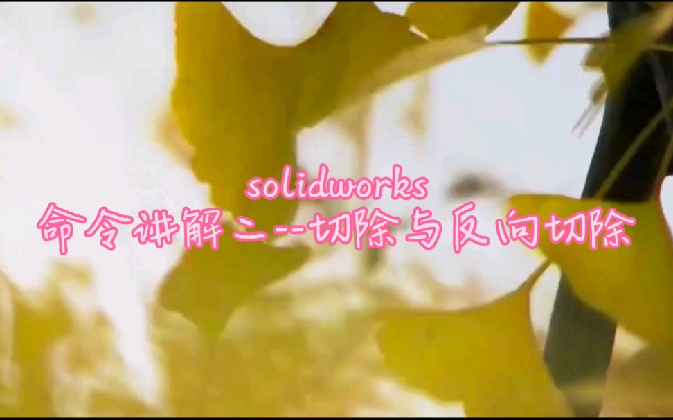 solidworks命令讲解二,切除与反向切除命令
