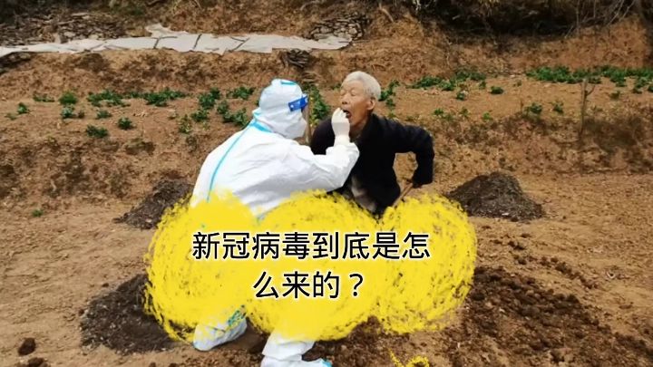 新冠病毒到底是怎么来的?