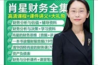 肖星的财务思维课财务分析与决策财务分析与估值企业财务报表资料