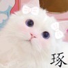 小琢还年轻 