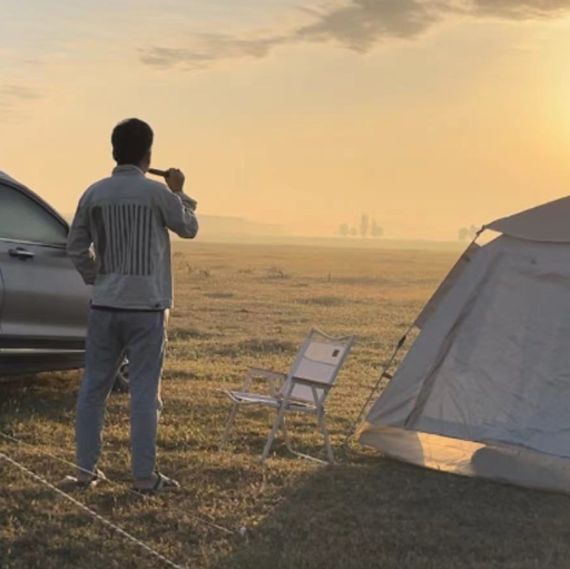 老实人刘海柱智能家居 