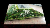 苍南县殡仪馆宣传视频