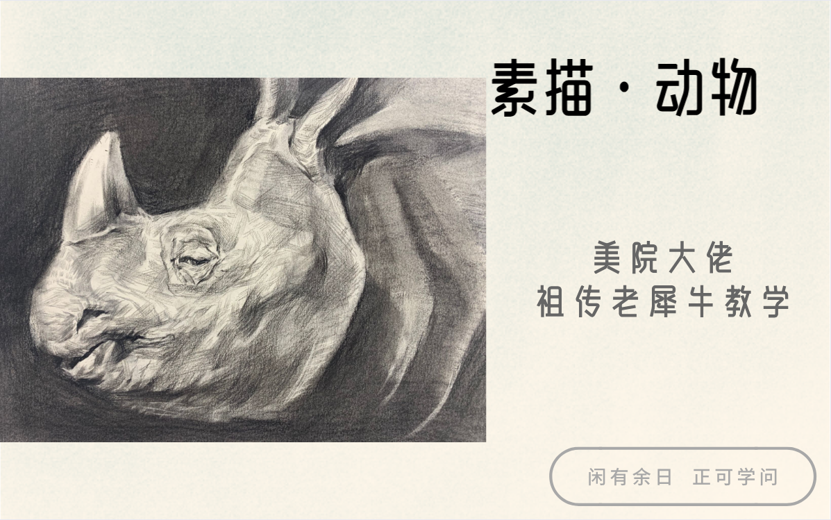 【素描新手联盟】一头犀牛,怎么用铅笔刻画它皮肤上面的褶皱感。...