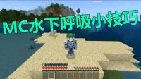 我的世界 Minecraft 玩家可以水下呼吸的2种方法