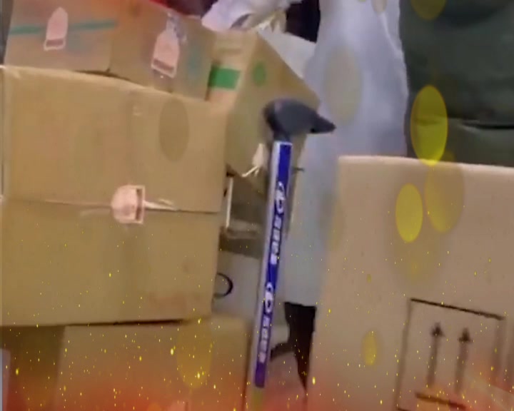 不放弃手语舞完整版