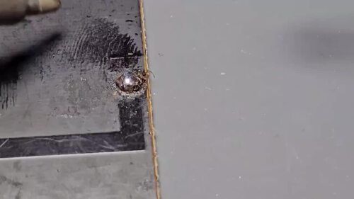 为什么要给太阳能板串联一个二极管作用这么大涨知识了