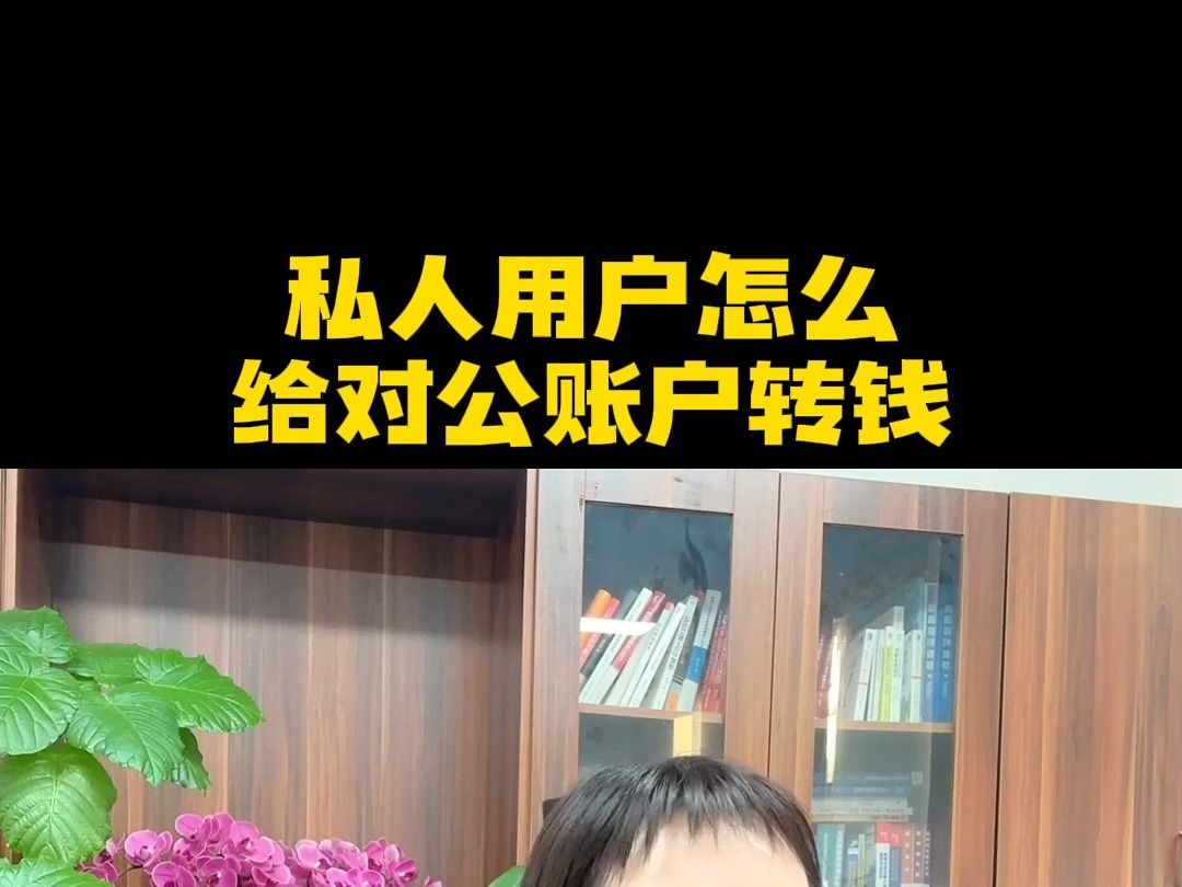 私人用户怎么给对公账户转钱,2024年规定