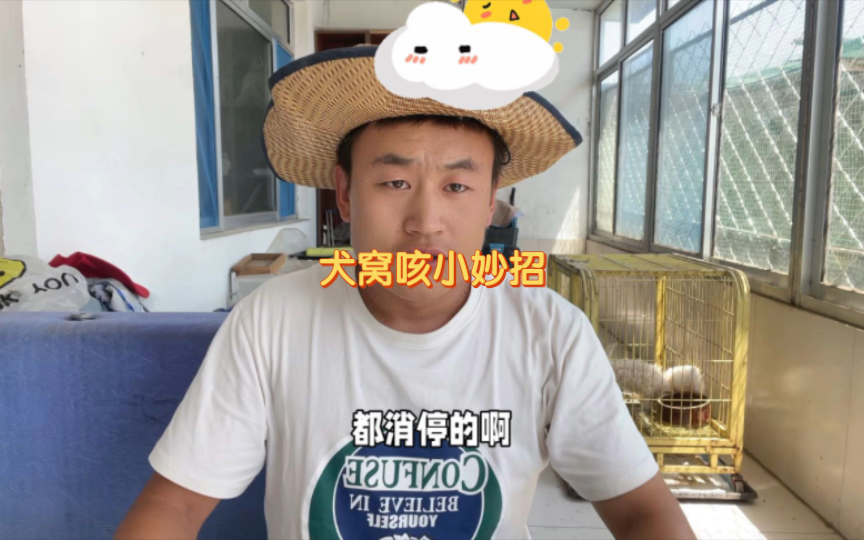 省钱的犬窝咳治疗小妙招