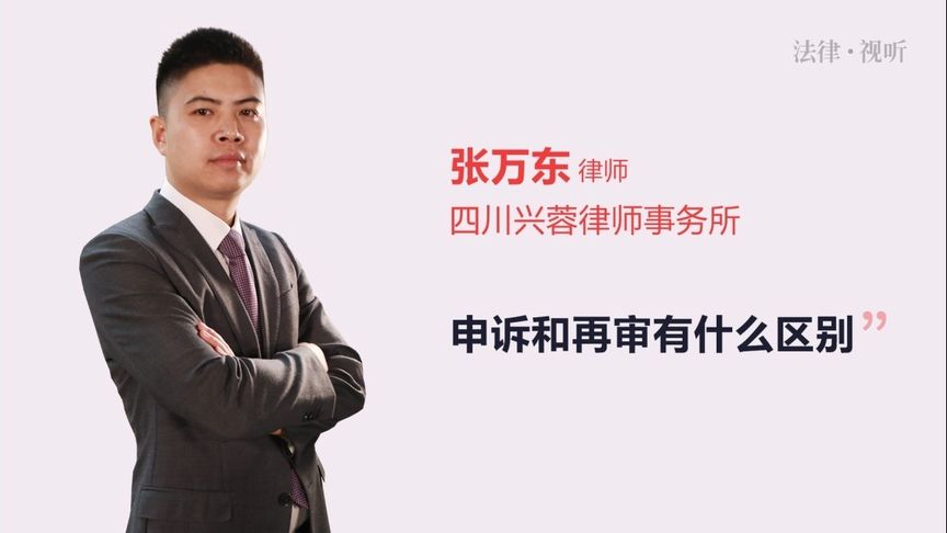申诉和再审有什么区别