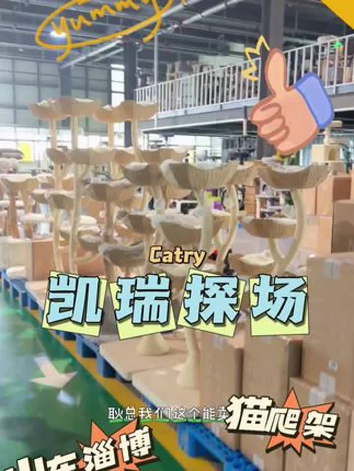 揭秘销往全球的凯瑞宠物用品企业实力与工艺#源头实力厂家 #猫爬架 #...