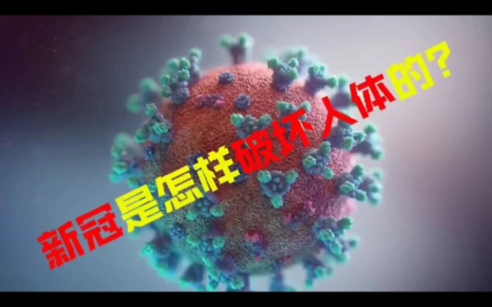 你知道新型冠状病毒是如何入侵我们身体的吗?