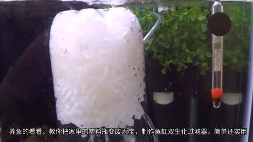 用塑料瓶制作鱼缸双生化过滤器,快速清除鱼缸,过滤功能强大