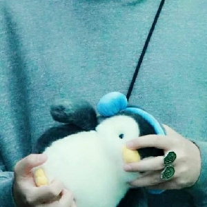 zhangerror 