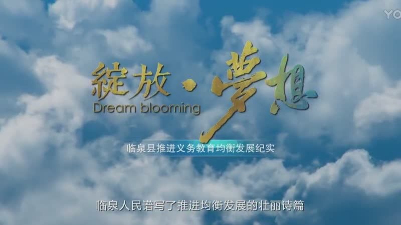 临泉县义务教育均衡发展工作宣传片