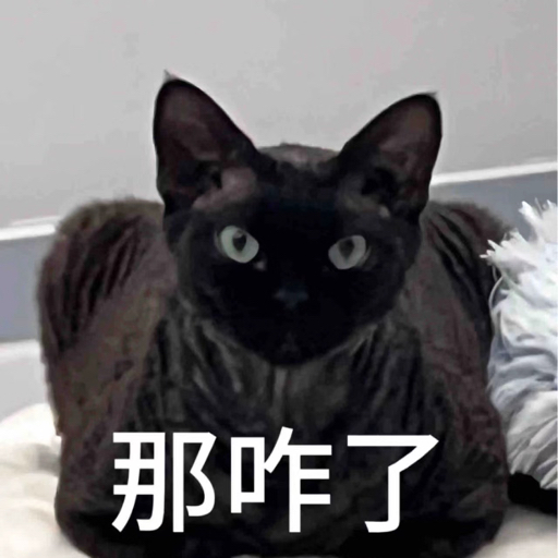 晃悠爱油条 