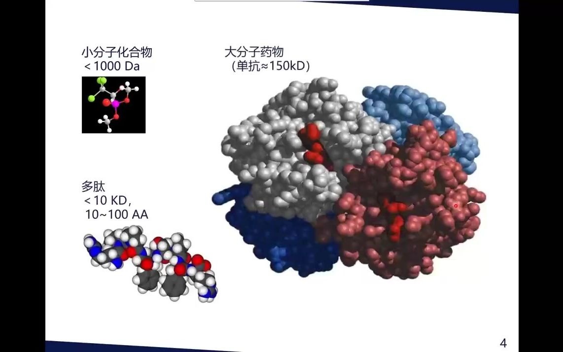 单抗药物LC-MS/MS与ECL生物分析方法比较(Case Study: SHR-1603...