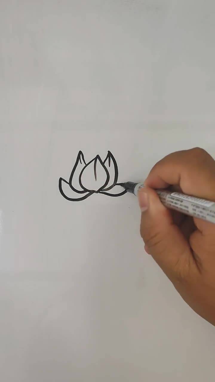 简笔画教程--荷花盛开