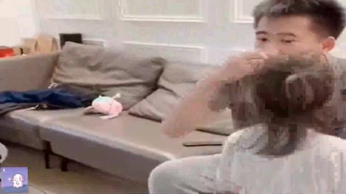 奶膘震颤的宇宙级萌态守恒定律