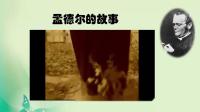 生物的性状与基因和染色体