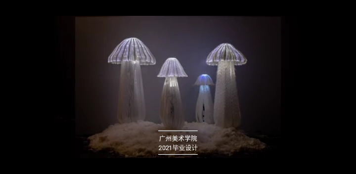 广州美术学院—2021毕业设计作品《光纤小菇》 互动艺术装置设计