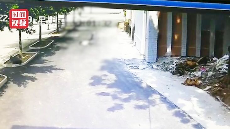 官方通报“学生校内坠楼身亡”:事发前该生玩手机被宿管要求上交