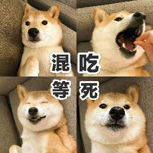 葫芦娃打酱油啦 