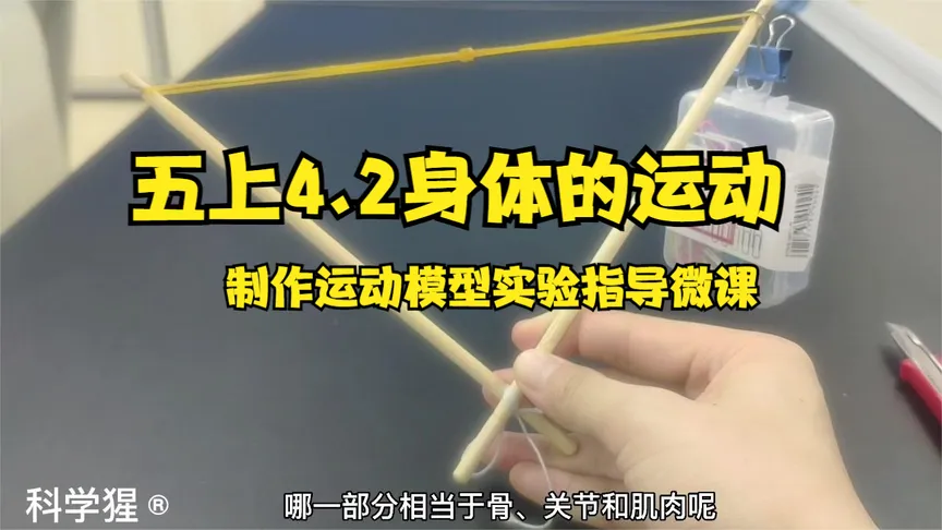五上4.2身体的运动 制作运动模型实验指导微课.mp4