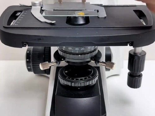 显微镜探秘:从微观到宏观的奇幻之旅