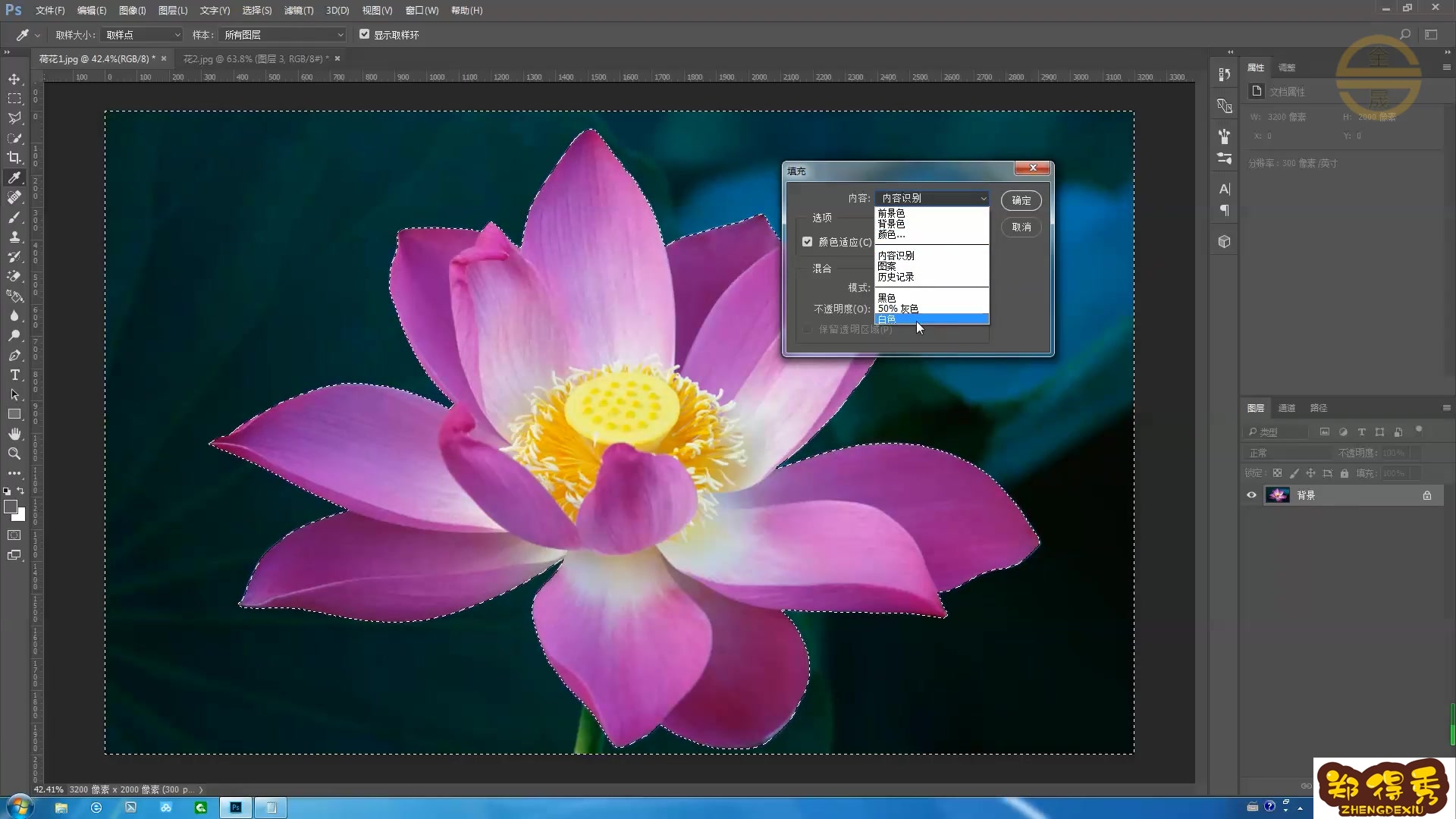 第三大课(PS抠图操作)通过删除操作完成抠图--超级详细