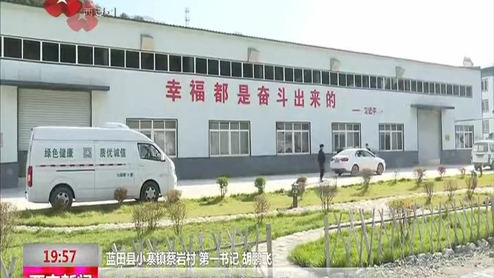 蓝田县以党建引领集体经济 发展产业助推脱贫攻坚