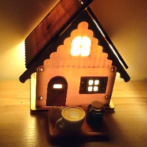 灰灰在做跨境独立站 