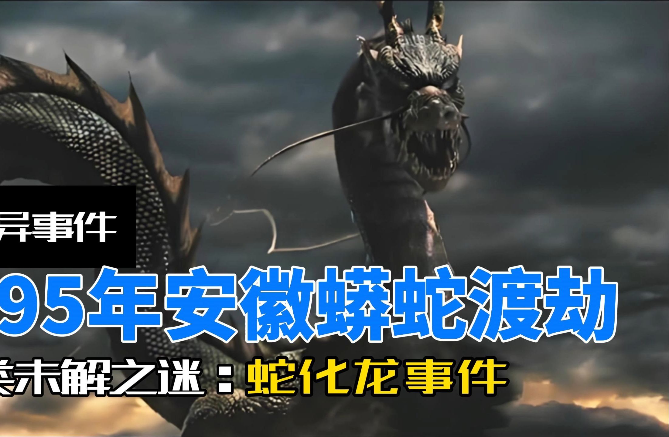 1995年安徽蟒蛇渡劫事件