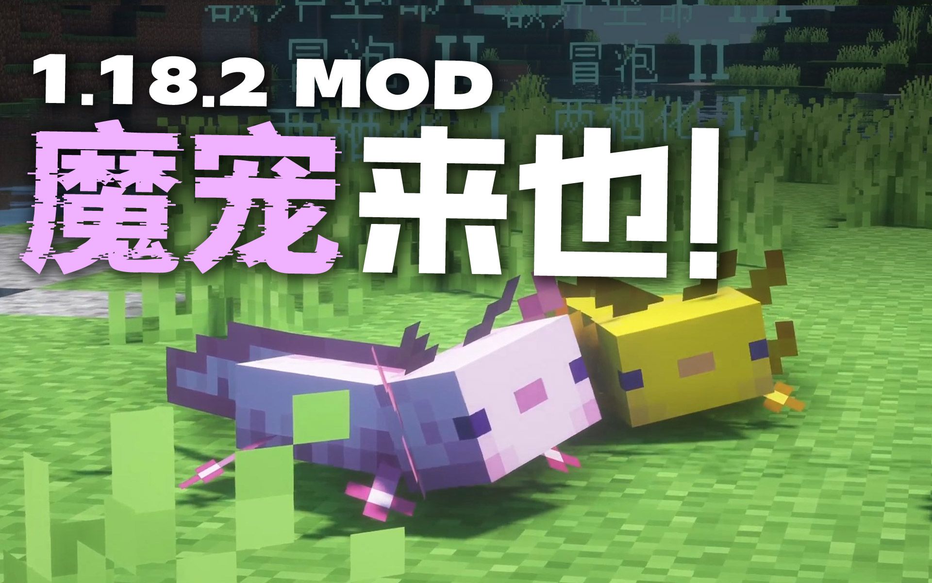 ...也能做宠物了!非常有趣实用的宠物驯养模组——驯养革新 Minecraft 1...