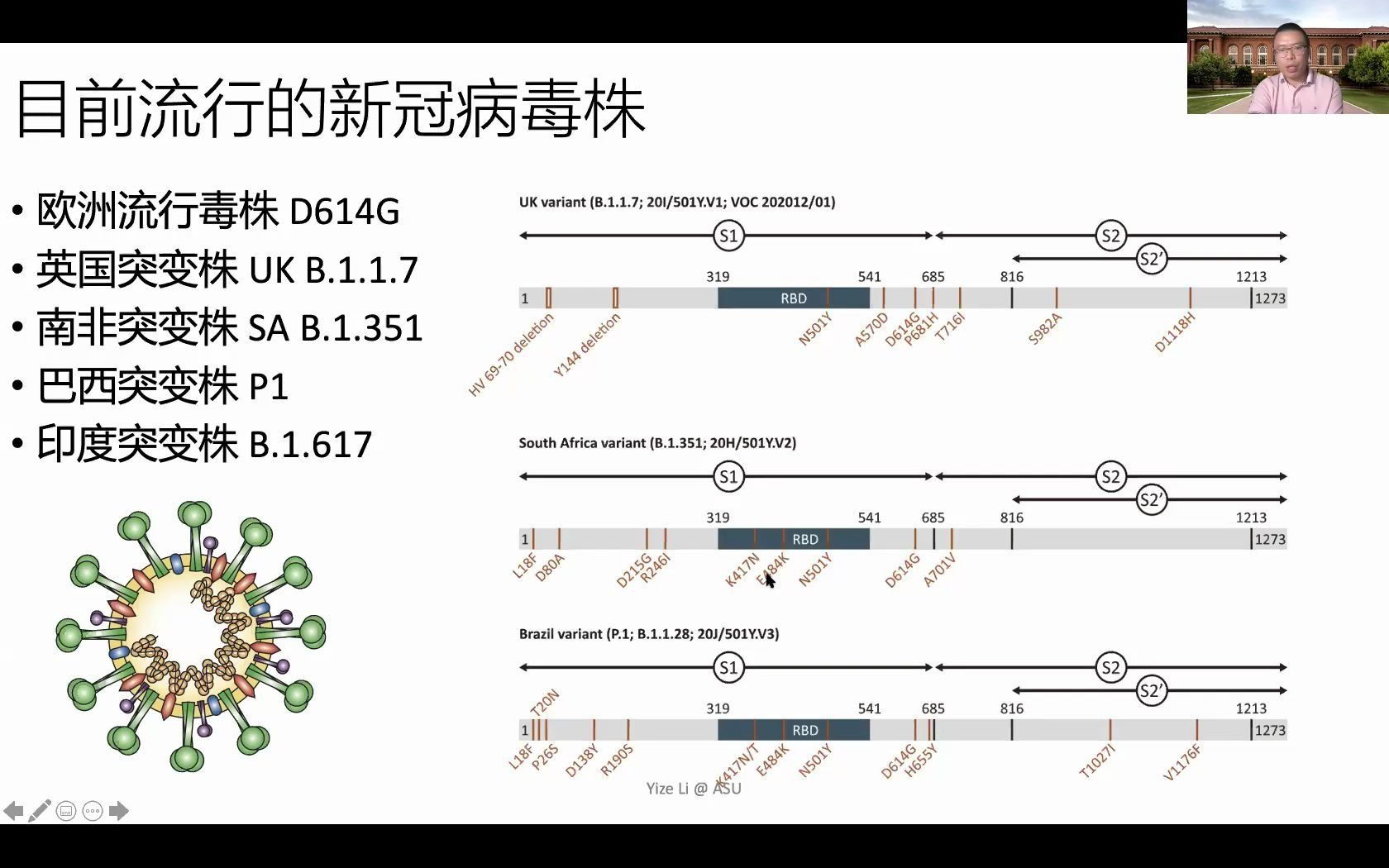 新冠疫苗对于流行突变病毒株还有效吗?