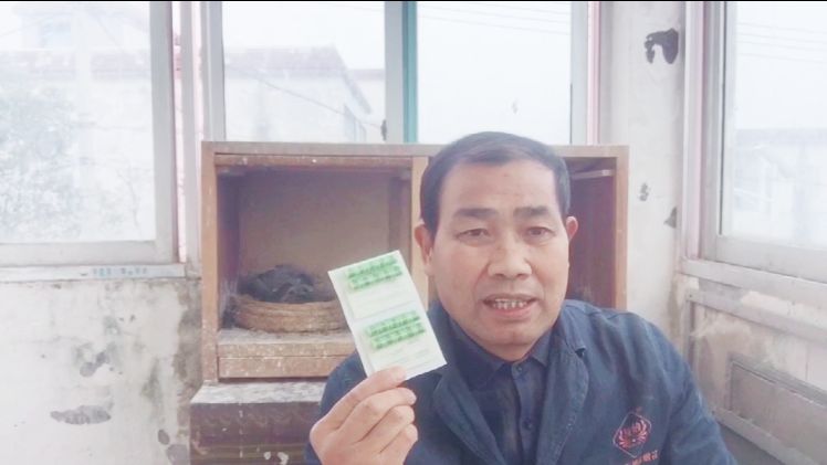 网上买的足环能参加信鸽协会的比赛吗?今天农村大叔就和你聊聊