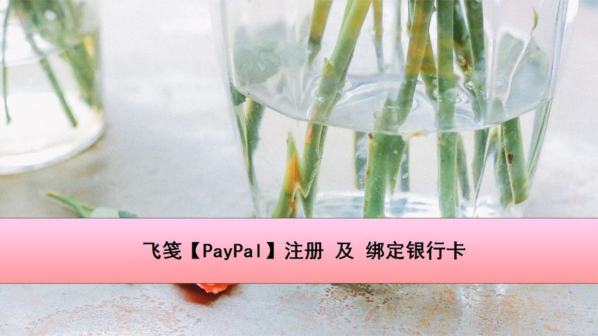 飞笺【PayPal】注册 及 绑定银行卡【转载】