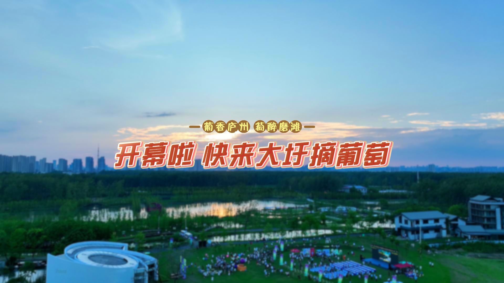 开幕啦 快来大圩摘葡萄