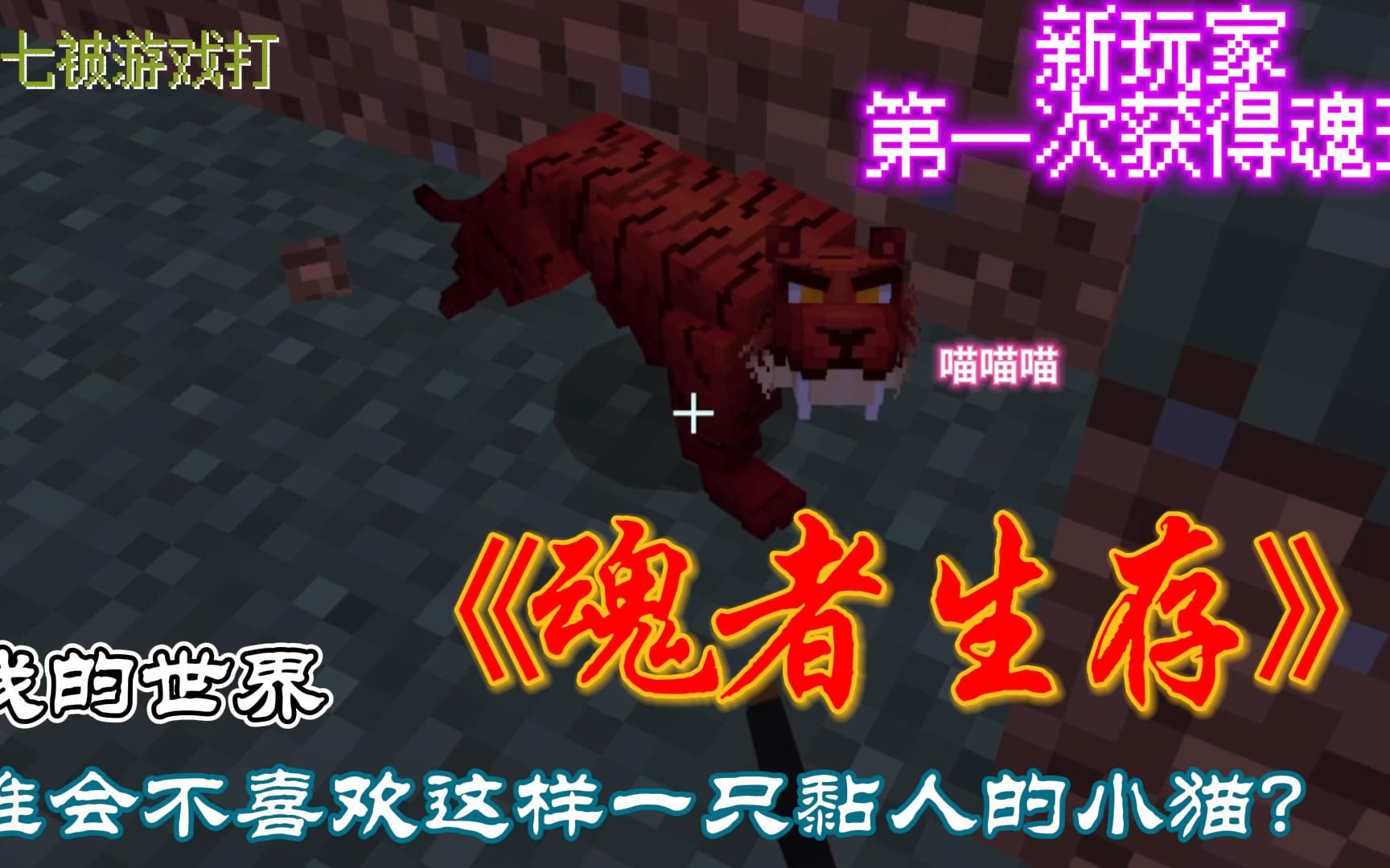 MC我的世界新玩家入门获得魂环教程!魂者生存免费模组