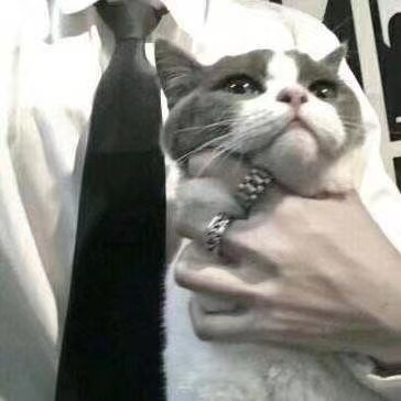 欧㸚 