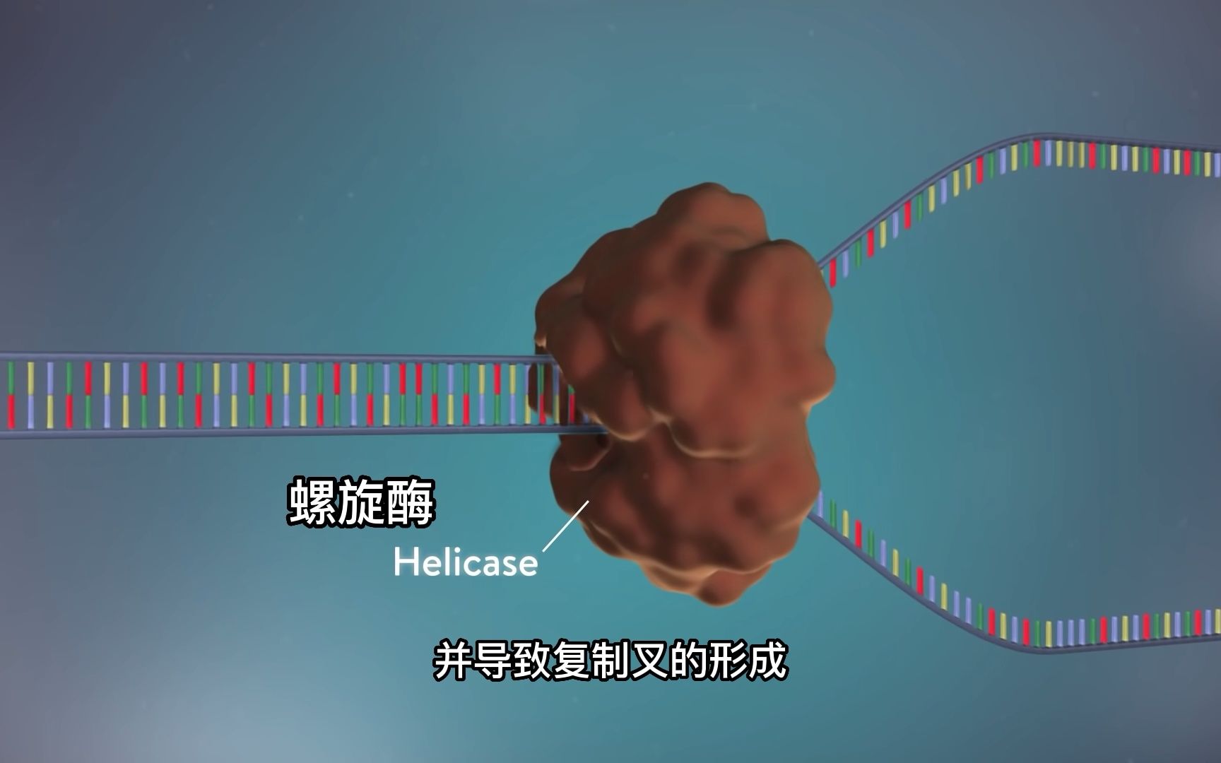 【智科院】DNA复制