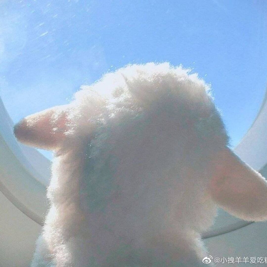 一念池 