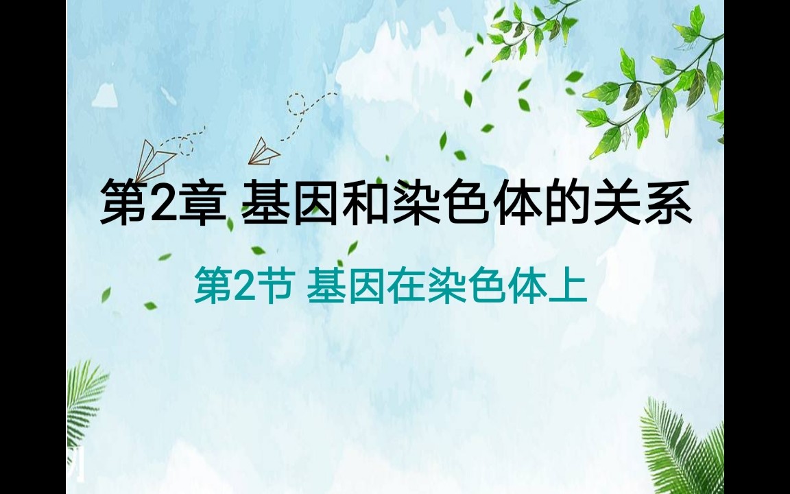 必修二2.2基因在染色体上