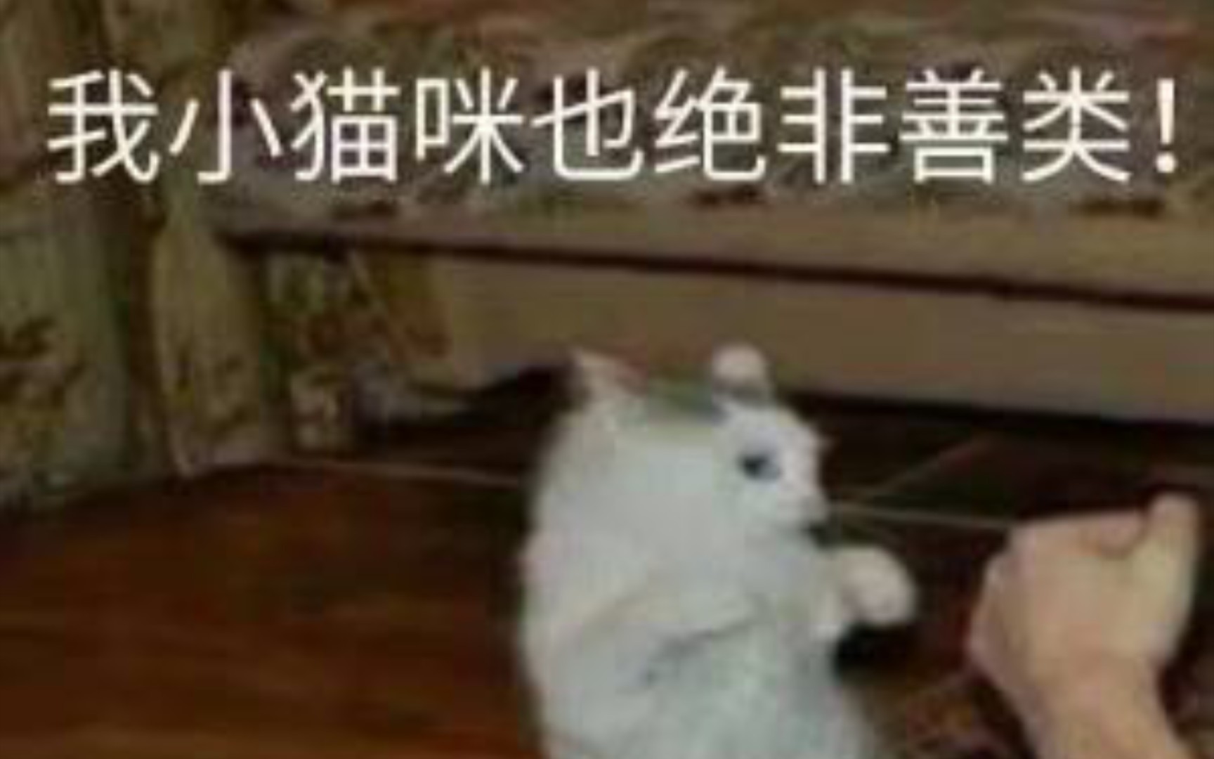 GG修改器教程 番外 元气骑士一键修改皮肤价格